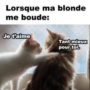 ConneriesQc - Rien de sérieux