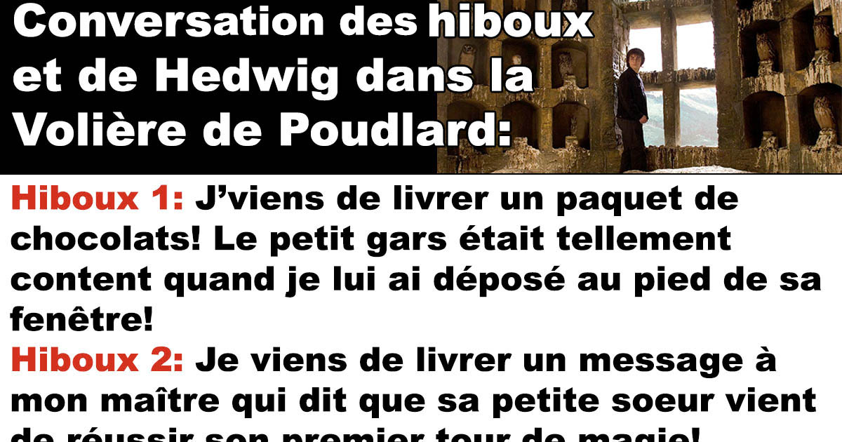 dsaasd - ConneriesQc