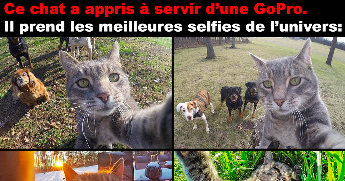 dsdsdsd - ConneriesQc