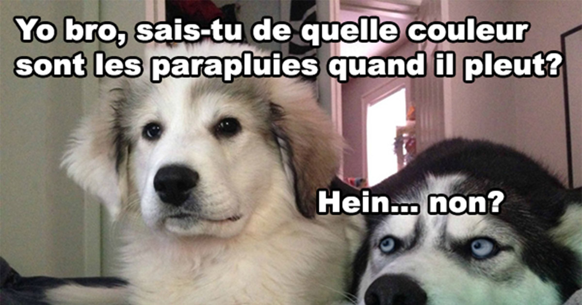 dssdsd - ConneriesQc