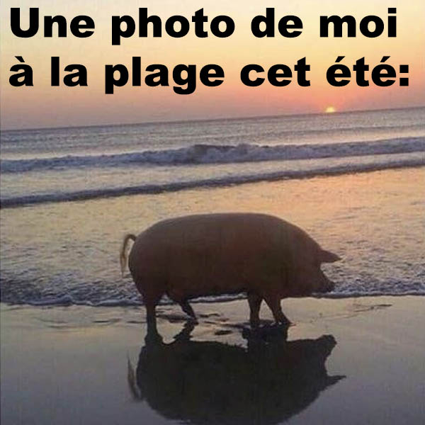 dssdsd - ConneriesQc