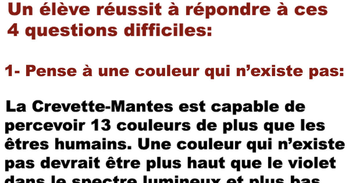 Il réussit à répondre à 4 questions difficiles