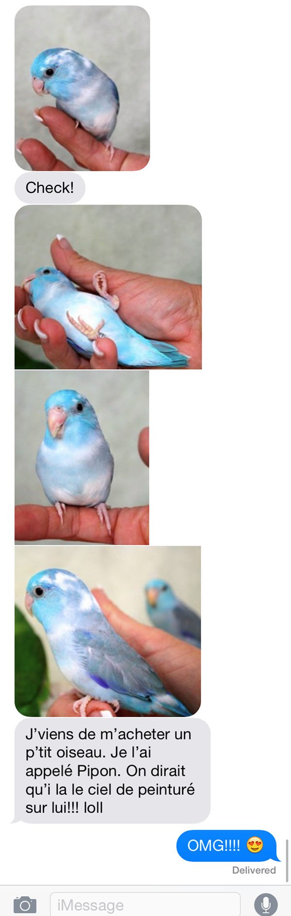 fdssdf - ConneriesQc