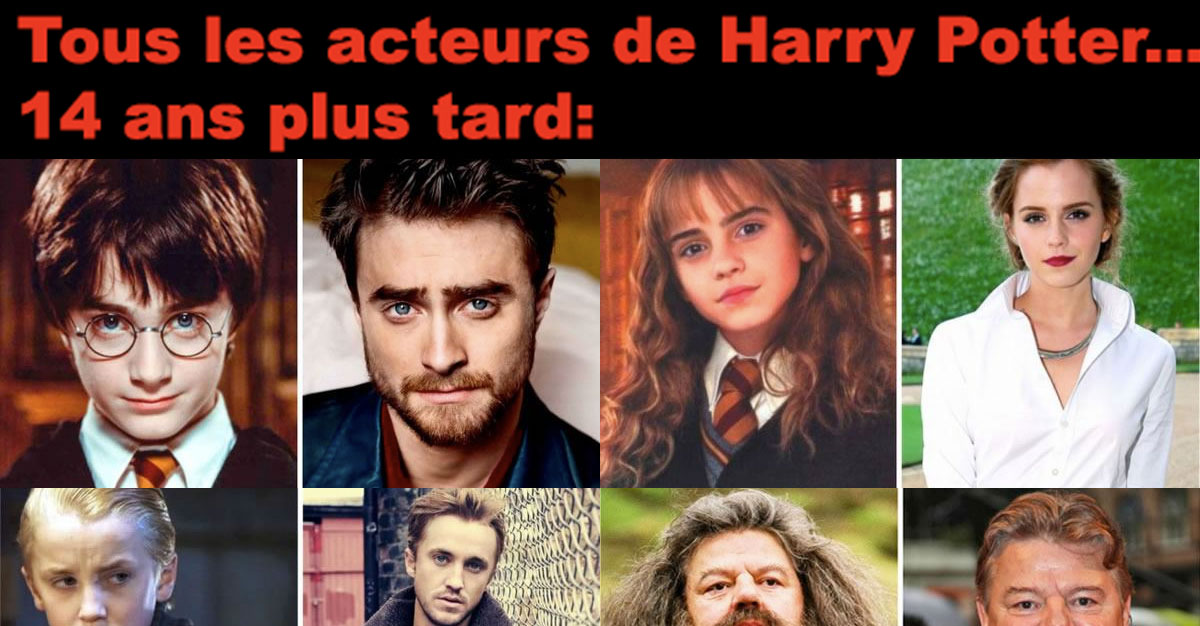 Tous Les Acteurs De Harry Potter 14 Ans Plus Tard