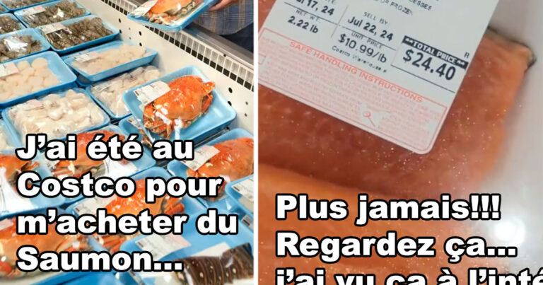 ConneriesQc - Page 3 sur 7464 - Rien de sérieux