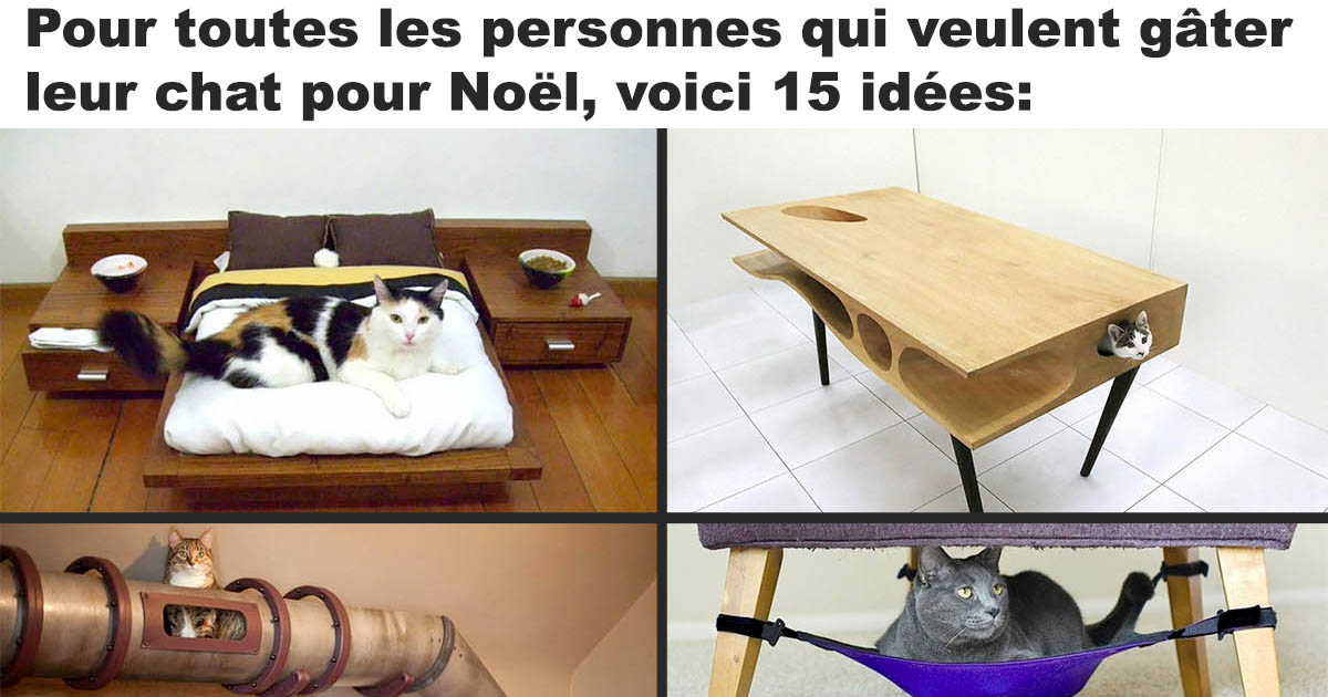 15 cadeaux de Noël parfaits pour votre chat