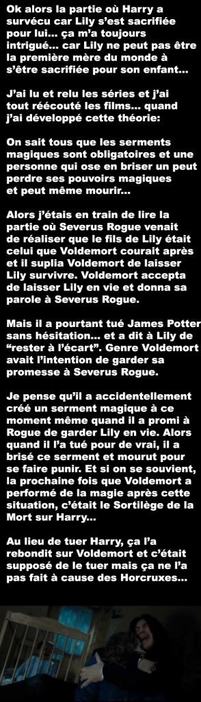 Nouvelle Théorie sur Harry Potter Nouvelle Théorie sur Harry Potter