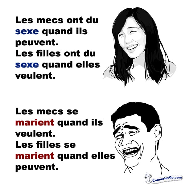 Pouvoir vs Vouloir Pouvoir vs Vouloir