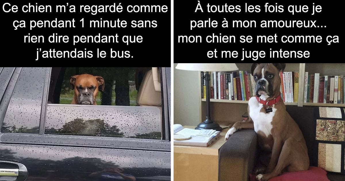 sdfdsfds - ConneriesQc