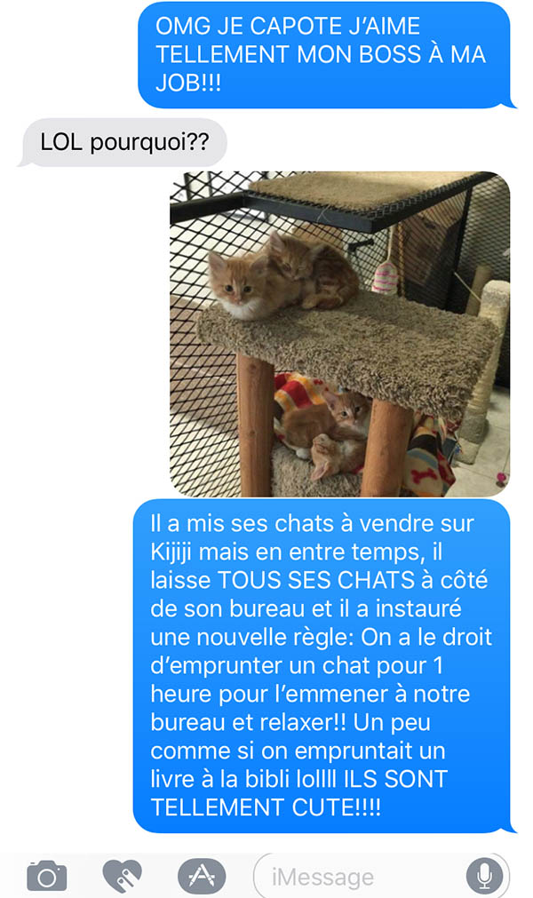 sslsls - ConneriesQc