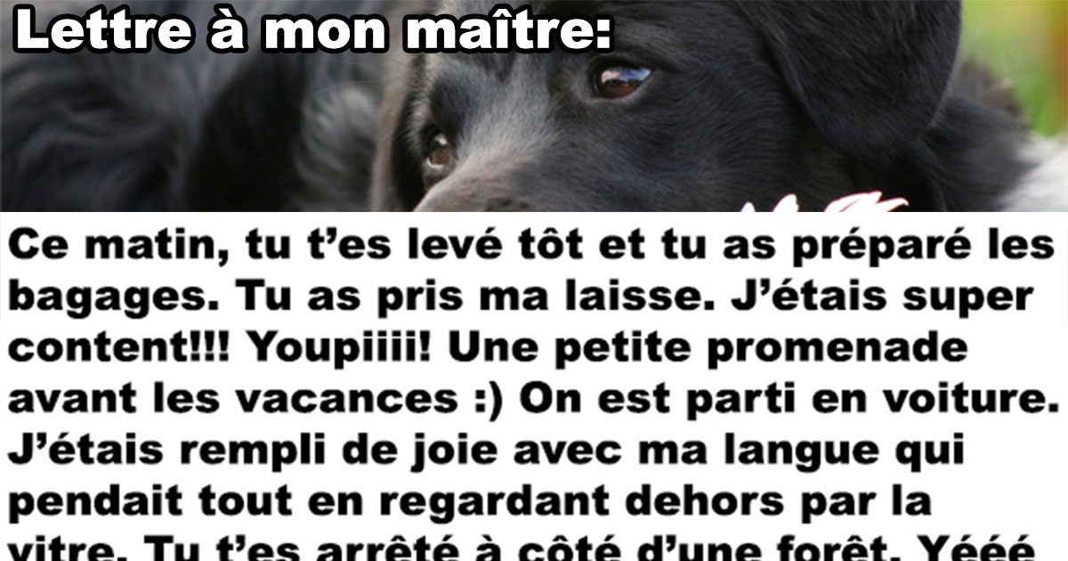 Lettre à Mon Maître